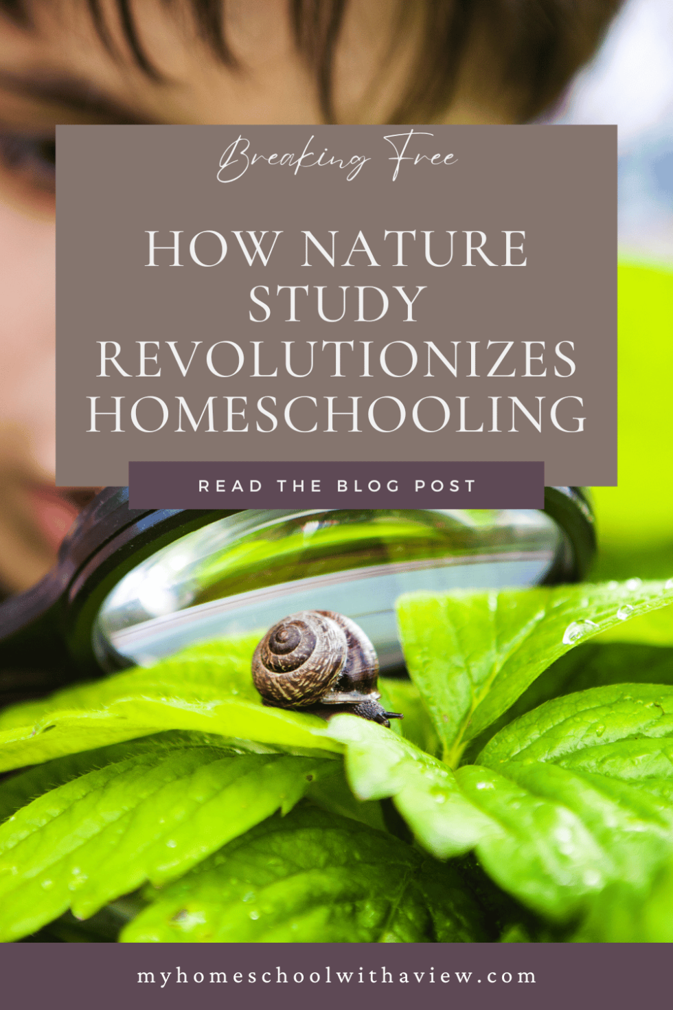 Make Nature Study A Part of Your Homeschool - My Homeschool with a View