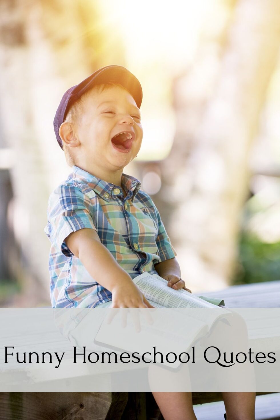 201 Ingenious Homeschool Quotes to Inspire Your Homeschool Year - My ...