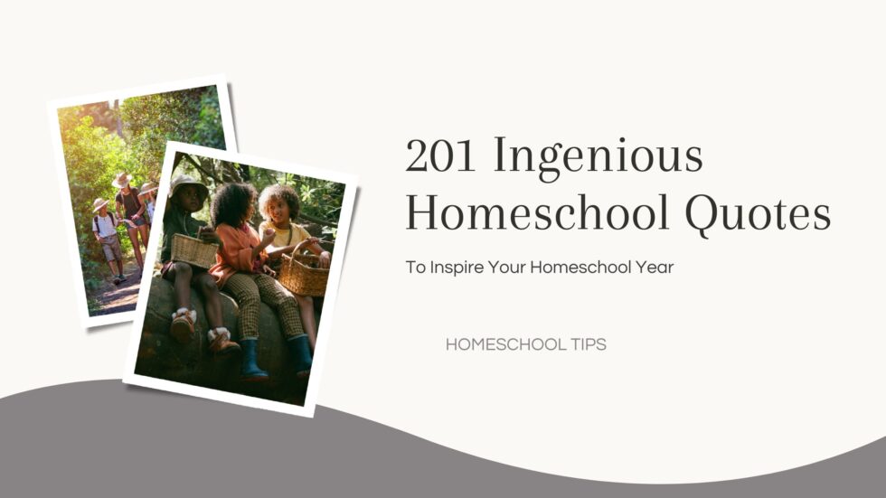 201 Ingenious Homeschool Quotes to Inspire Your Homeschool Year - My ...